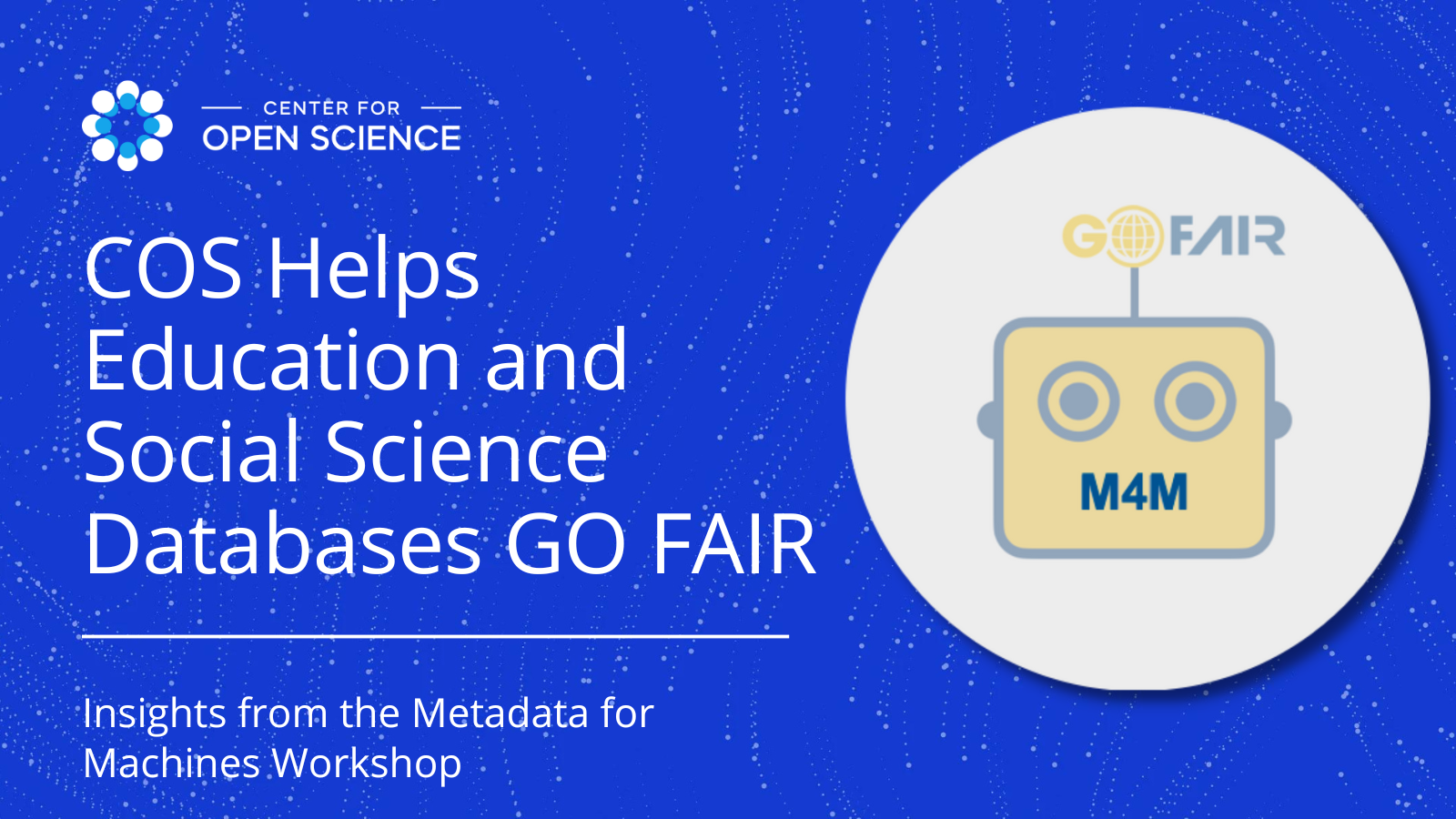 COS Helps Education and Social Science Databases GO FAIR in Metadata for Machines Workshop